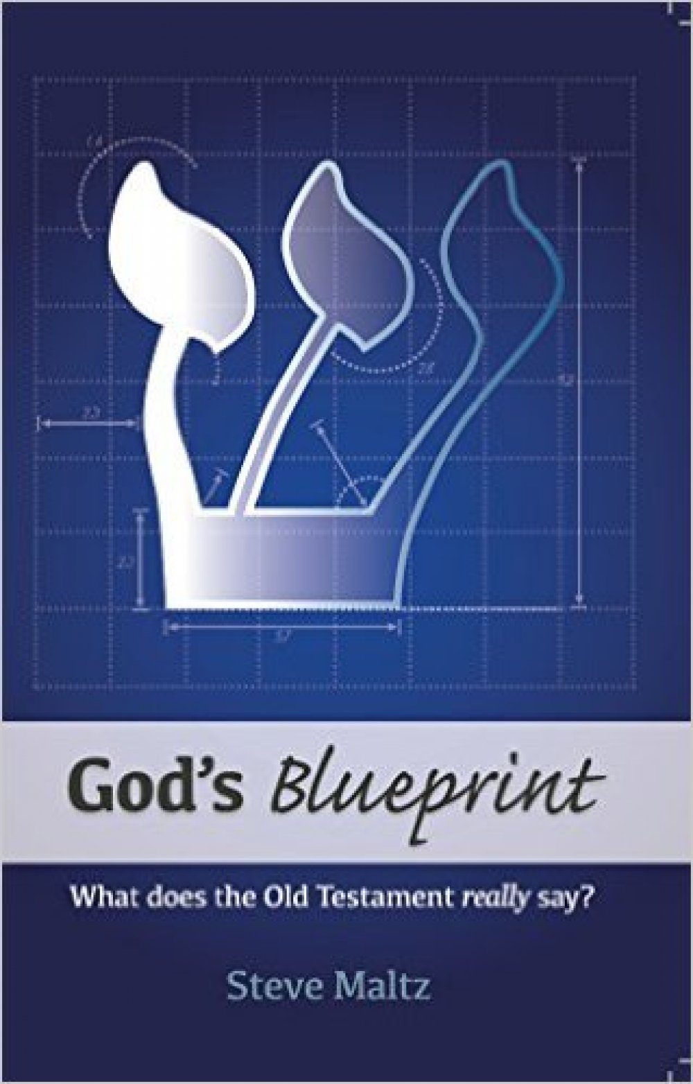 Review: God's Blueprint